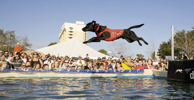 Southeastern Wildlife Exposition | CHARLESTON MAGAZINE CLUB